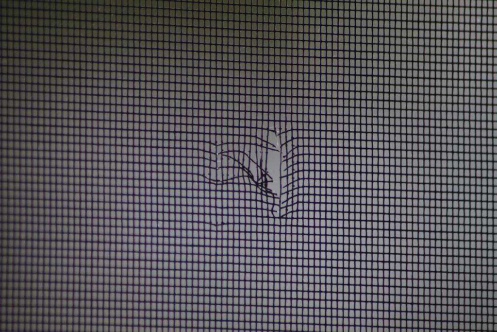 How insect screens keep your house cool and bugs-free