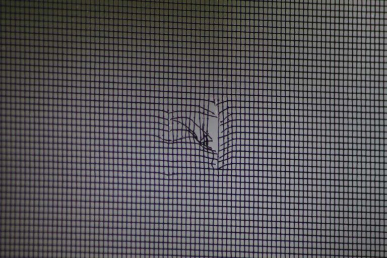 How insect screens keep your house cool and bugs-free
