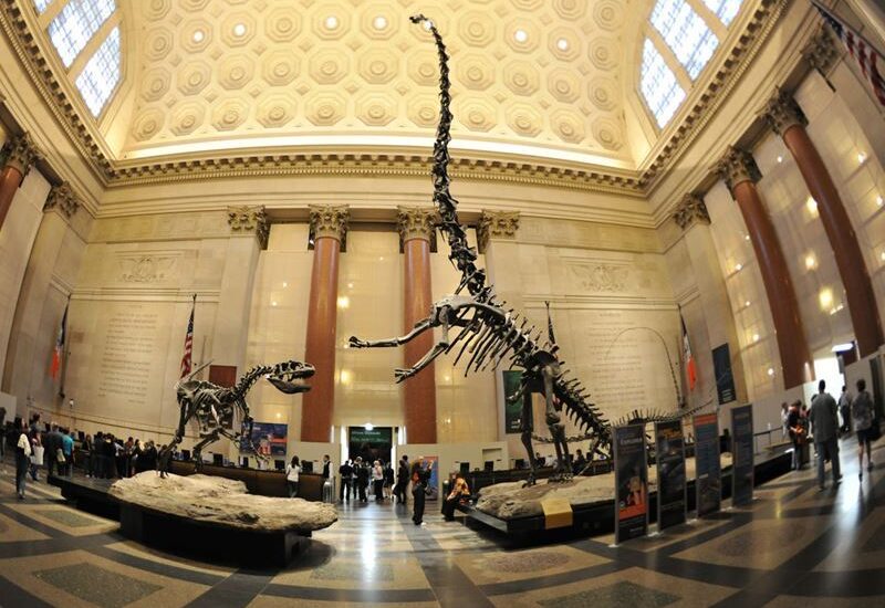 The Best History Museums in America | HighlightStory