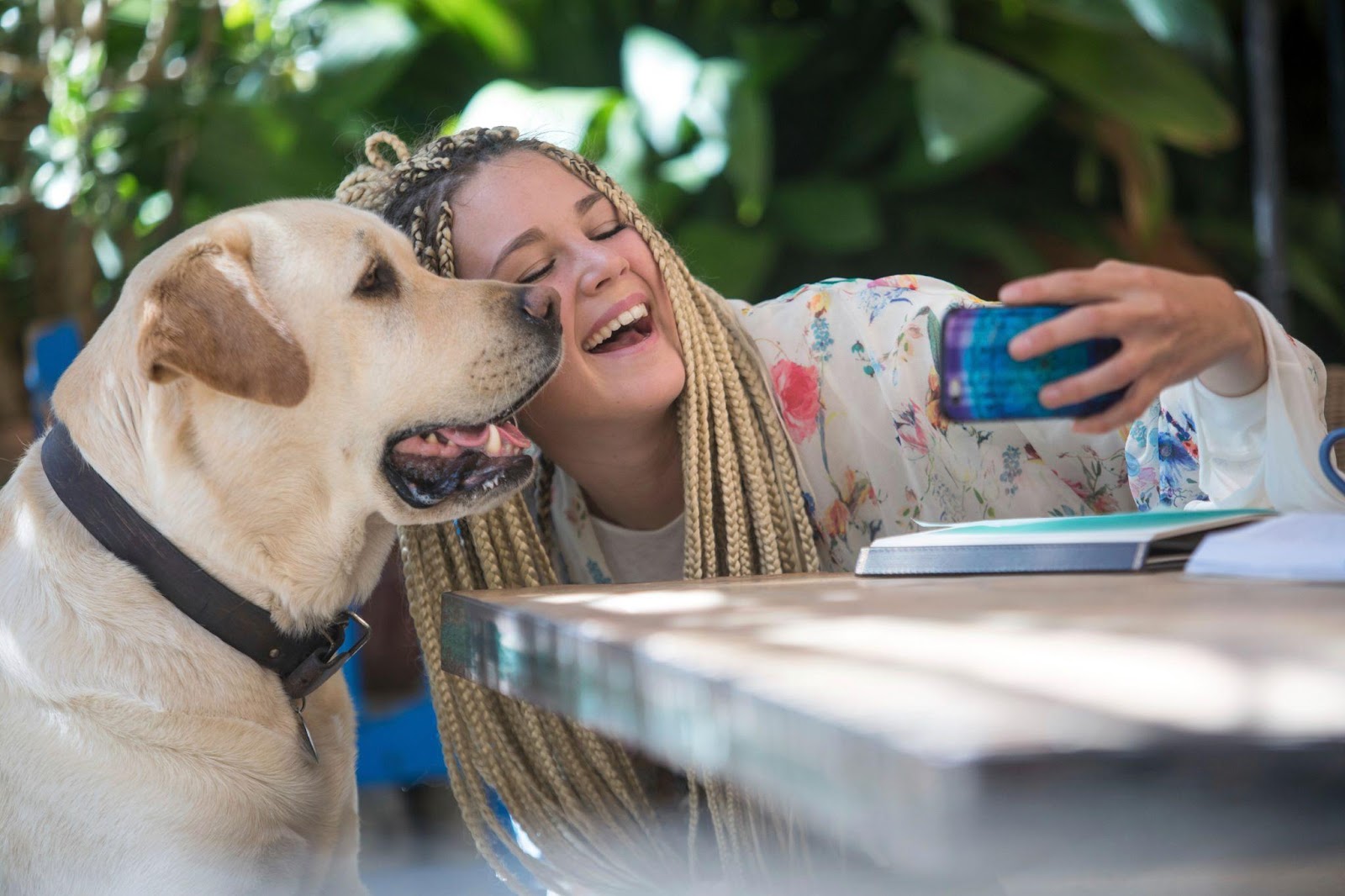 Top 5 Innovative Dog Products to Improve Your Pup’s Daily Life